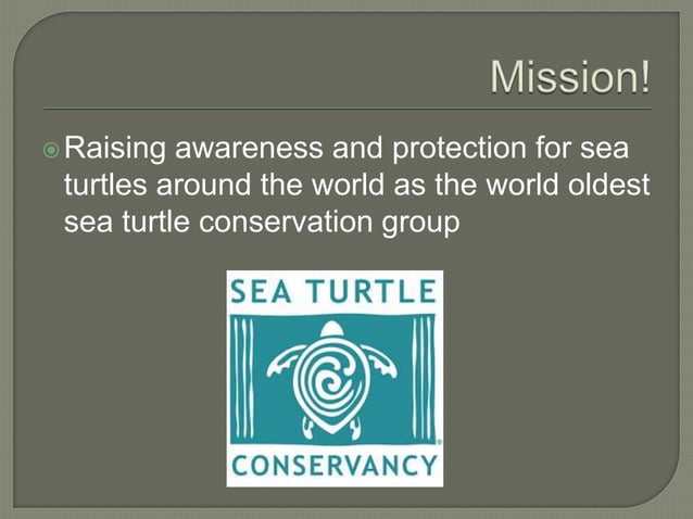 Sea Turtle Conservancy | PPT