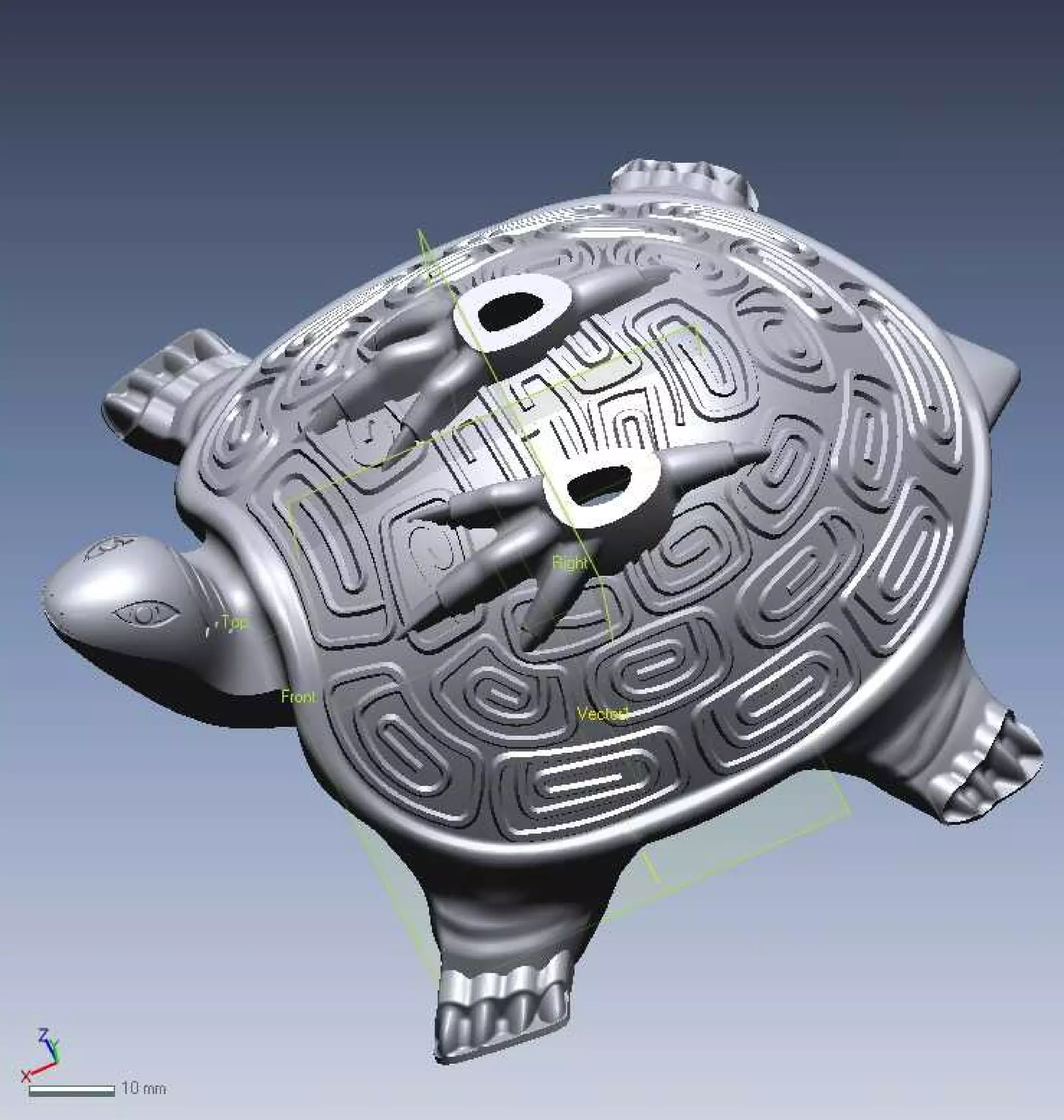 Turtle casting in reverse engineering | PDF