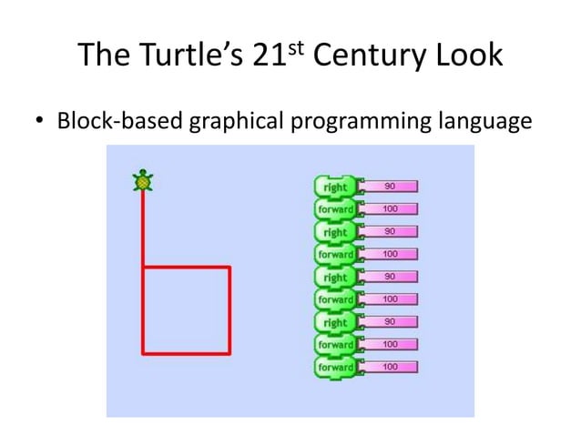 Turtles Can Do Math, and So Can You! | PPTX
