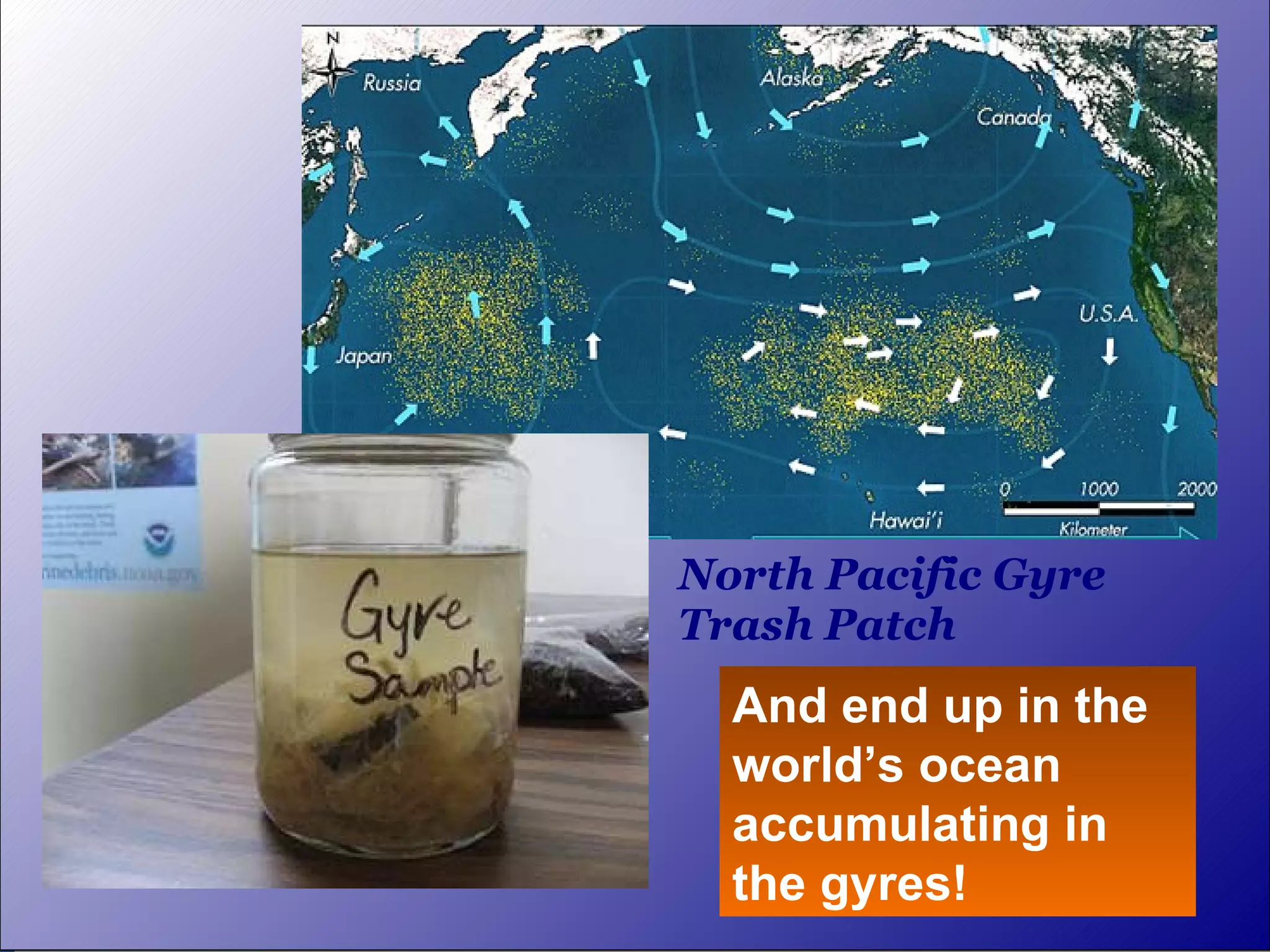 Turtles Pooping Plastic | PPT