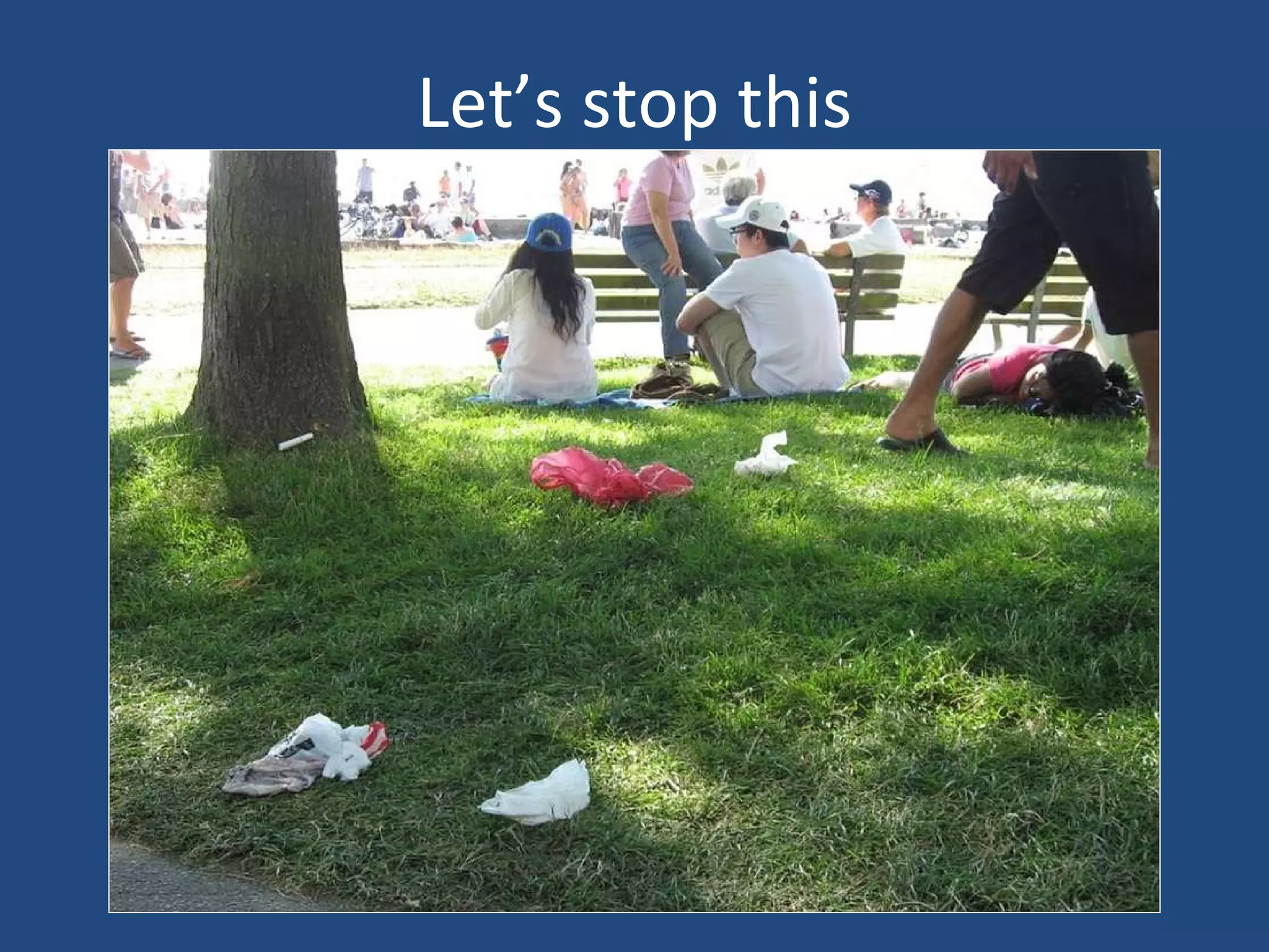 Turtles Pooping Plastic | PPT