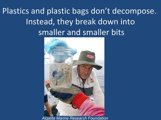 Turtles Pooping Plastic | PPT