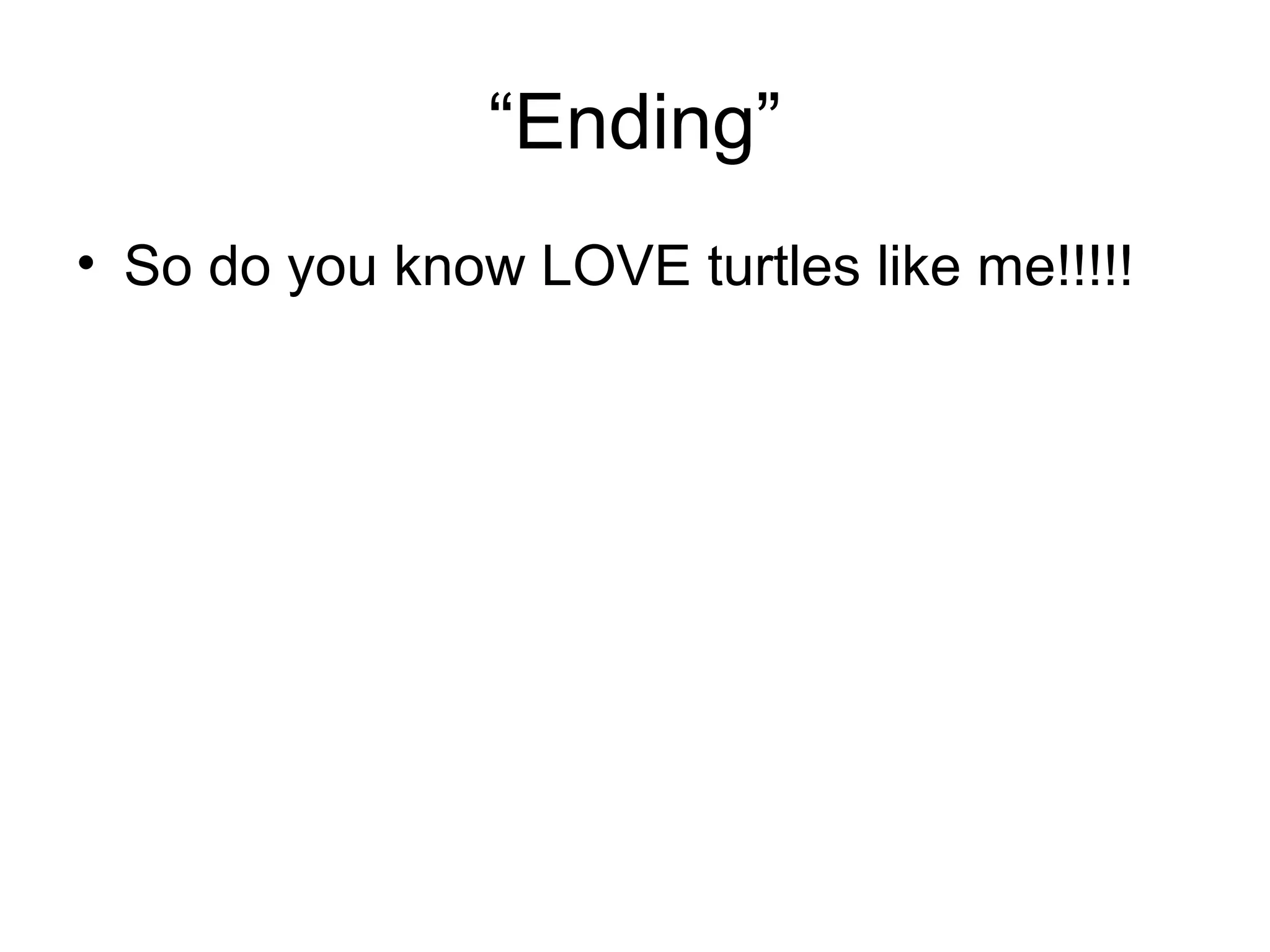 Turtles practice | PPT