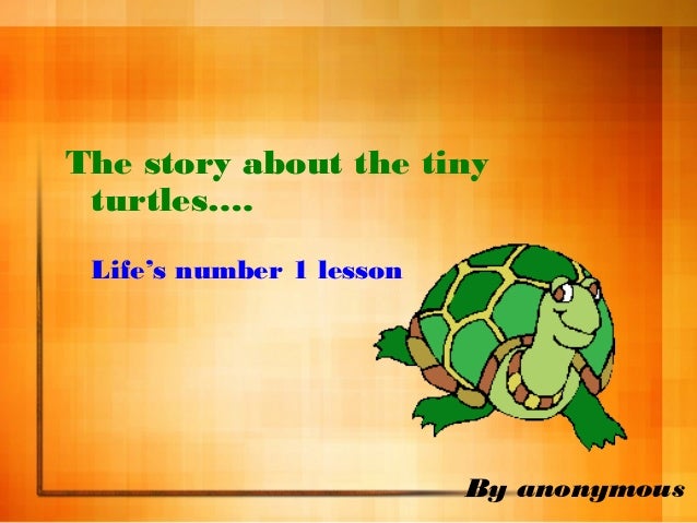 Turtle story, motivation