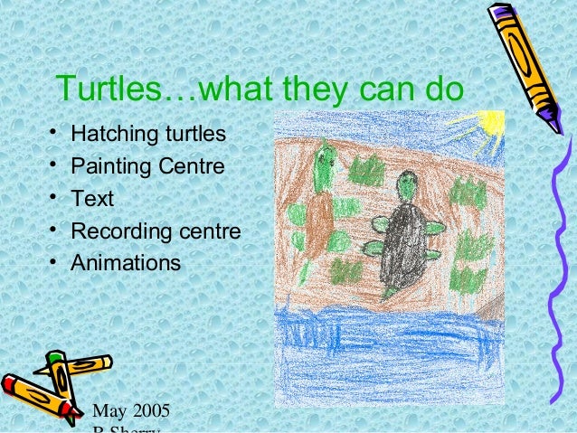 Turtle travels
