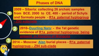 Turul dna | PPSX