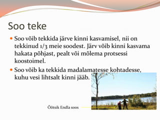 Turvas - Koonga tähtsaim loodusvara | PPTX