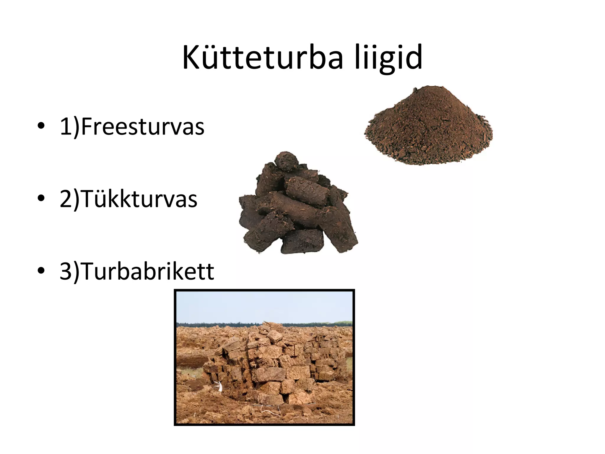turvas,puit | PPT