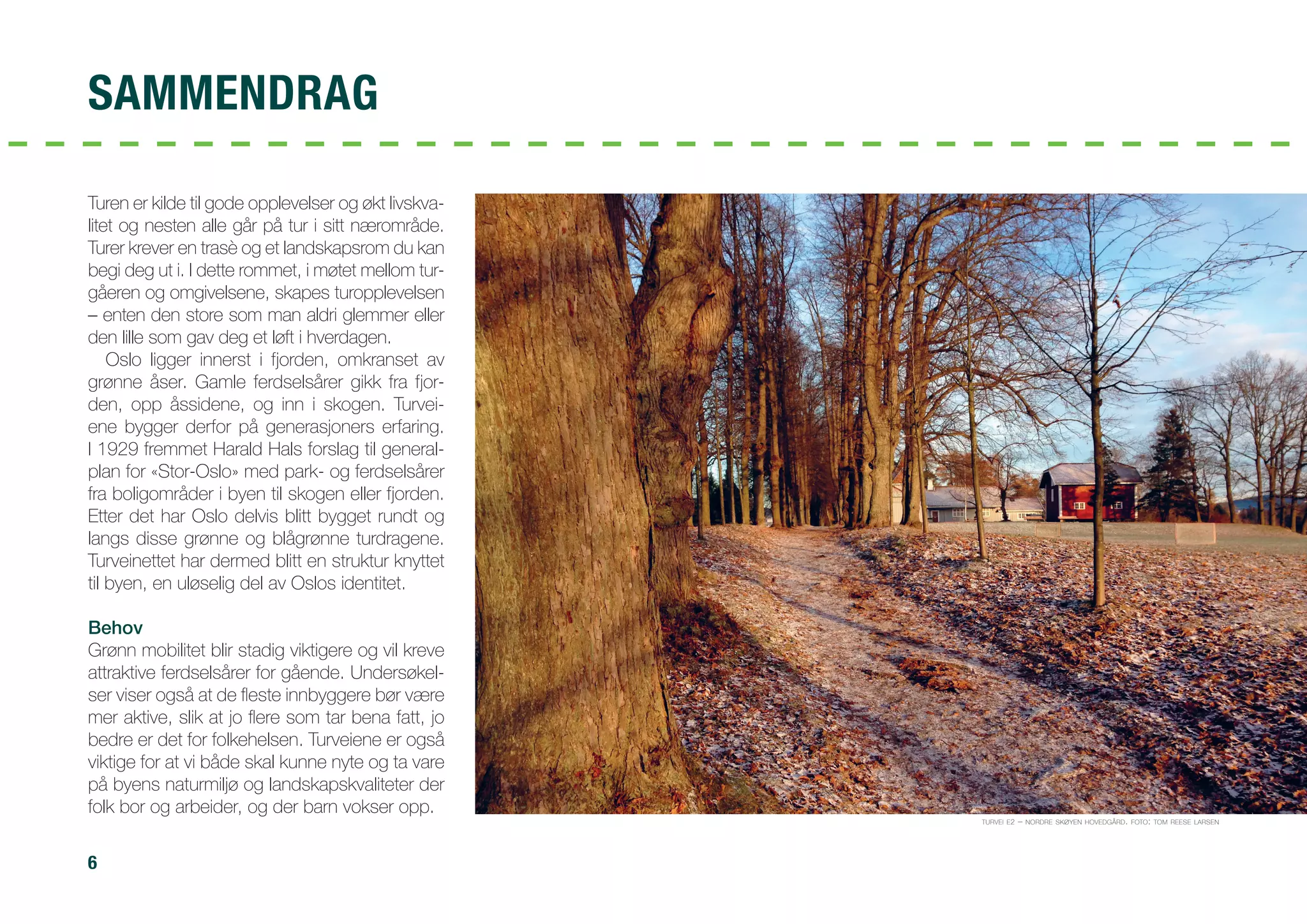 Turveistrategi | PDF