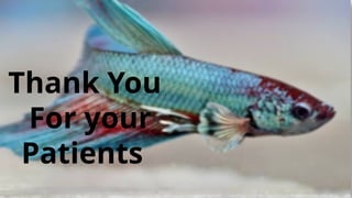 Fish Scales by Tusshar Garg.pptx placoid cosmoid ganoid cycloid ctenoid ...