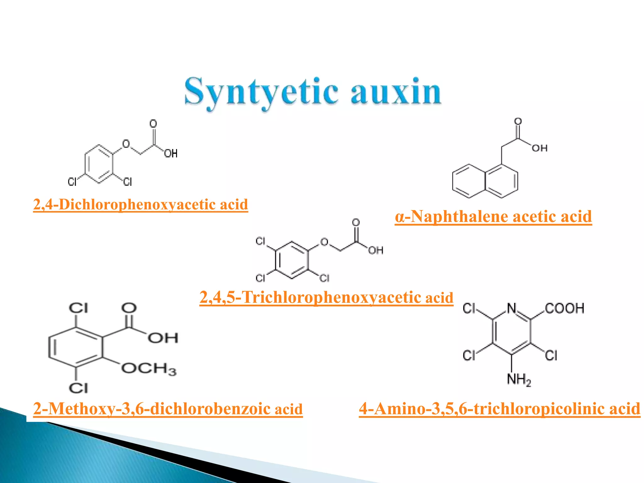 Molecular And Biochemical Steps In Synthesis Of Auxin In Plant | PPTX