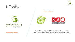 Tusker Berry ( Agri Ventures ) 2018 | PPT