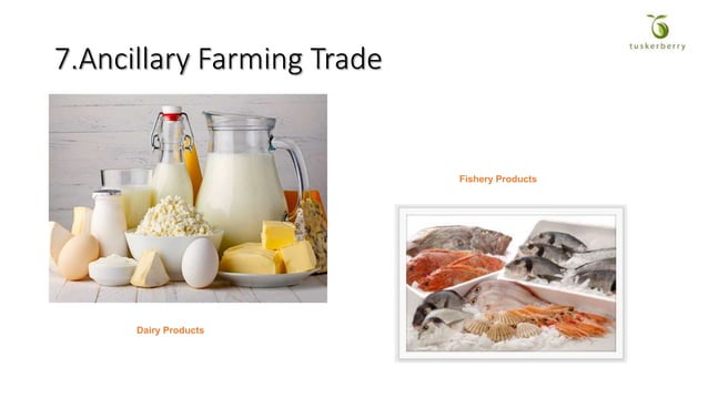 Tusker Berry ( Agri Ventures ) 2018 | PPT