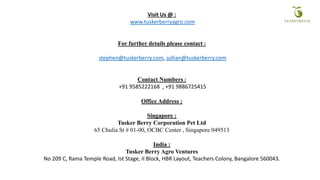 Tusker Berry ( Agri Ventures ) 2018 | PPT