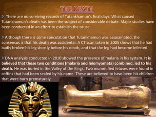 King Tut(Tutankhamun) | PPTX