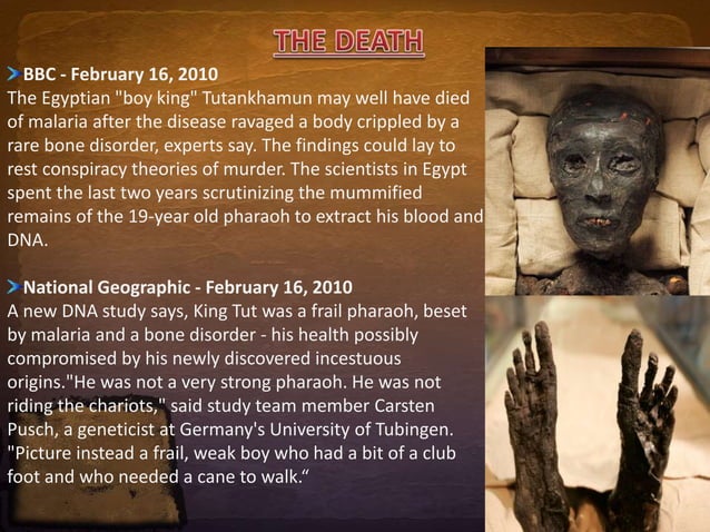 King Tut(Tutankhamun) | PPTX