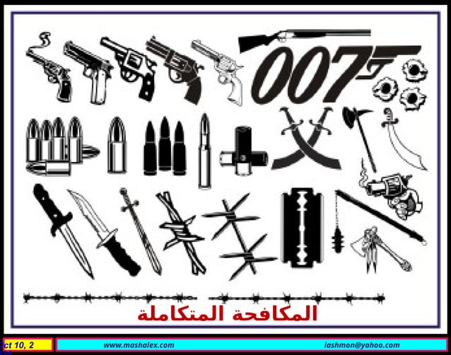 Tuta absoluta insect morphology and control | PPT