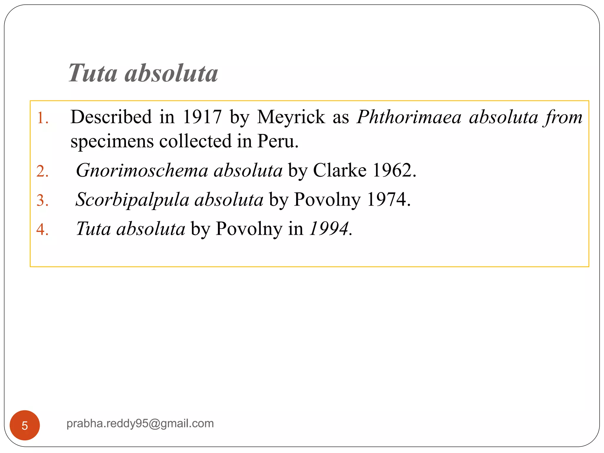 Tuta absoluta | PPTX