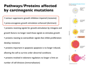 Introduction to Carcinogenesis | PDF