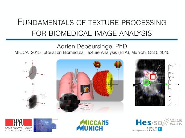 FUNDAMENTALS OF TEXTURE PROCESSING FOR BIOMEDICAL IMAGE ANALYSIS