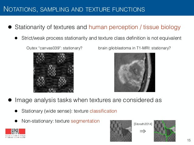 FUNDAMENTALS OF TEXTURE PROCESSING FOR BIOMEDICAL IMAGE ANALYSIS