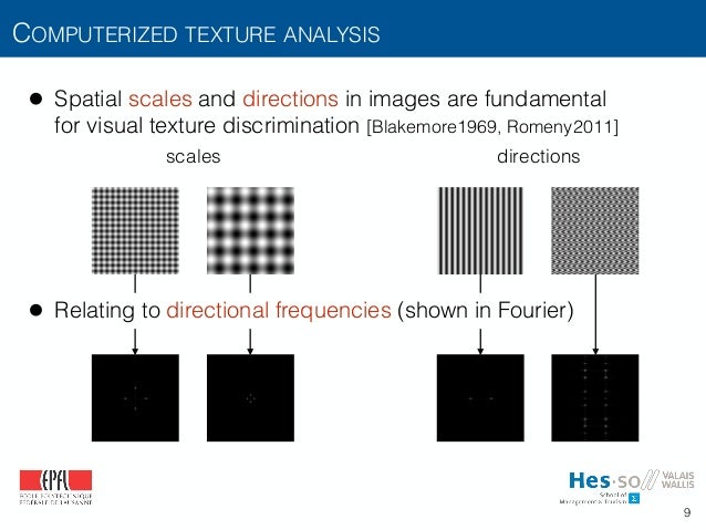 FUNDAMENTALS OF TEXTURE PROCESSING FOR BIOMEDICAL IMAGE ANALYSIS