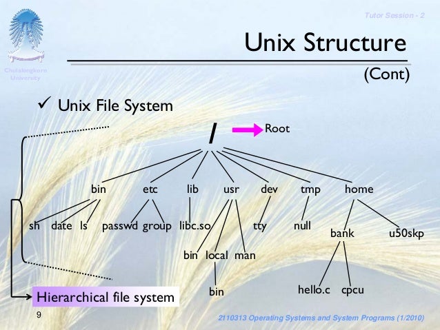 SysProg-Tutor 02 Introduction to Unix Operating System