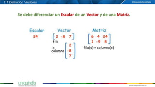 vectores y matrices .pptx