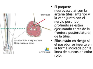 Tutores Externos 2019.pptx