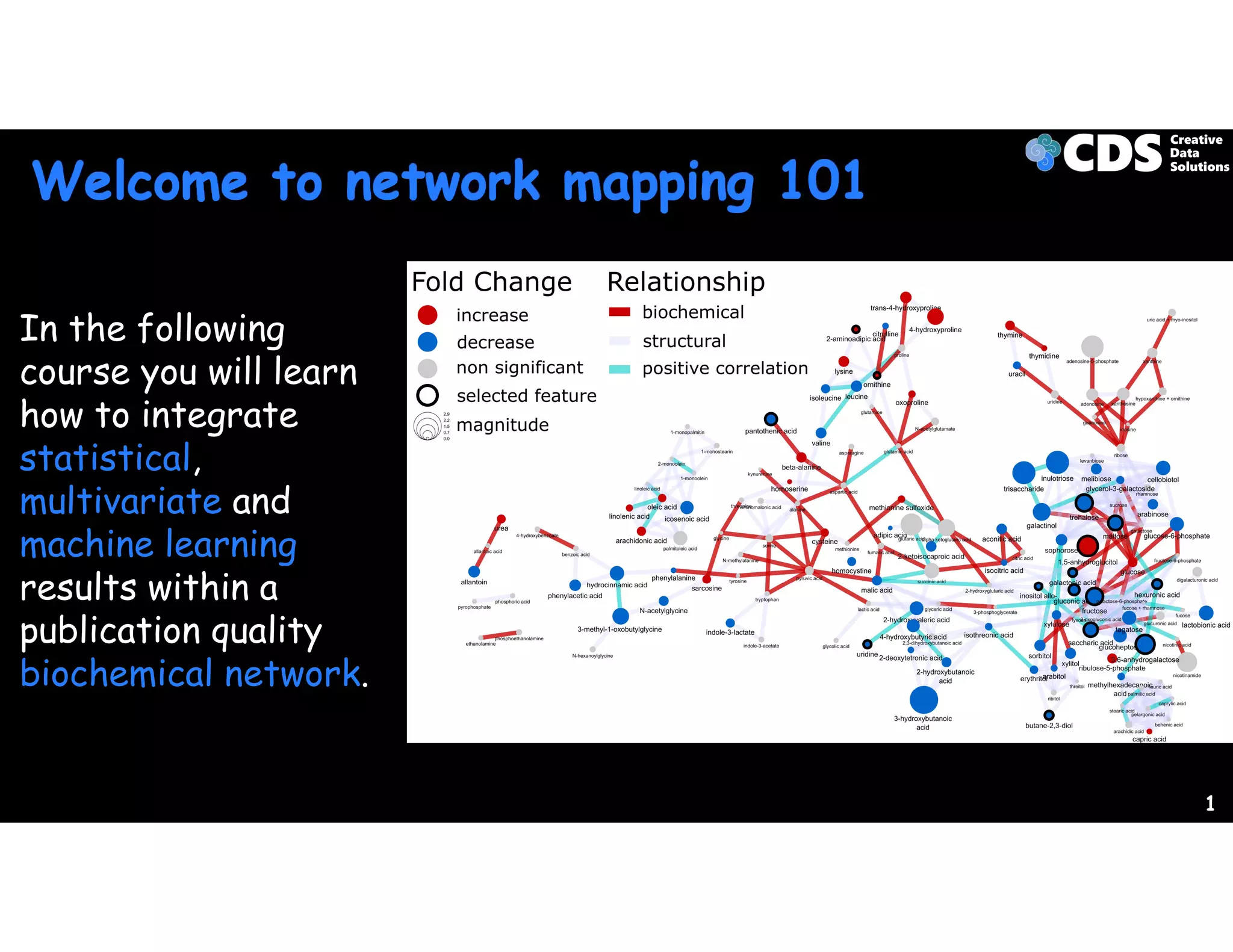 Network mapping 101 course | PDF