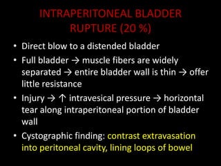 Tutorial bladder trauma | PPTX