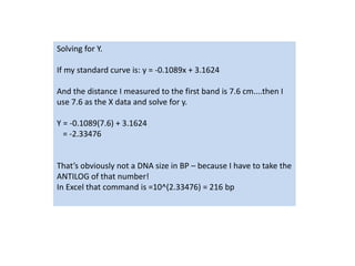Tutorial how to make and use a standard curve gel electrophoresis | PPT