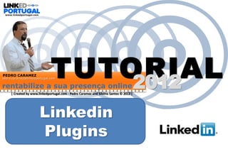 Tutorial Linkedin Plugins | PDF