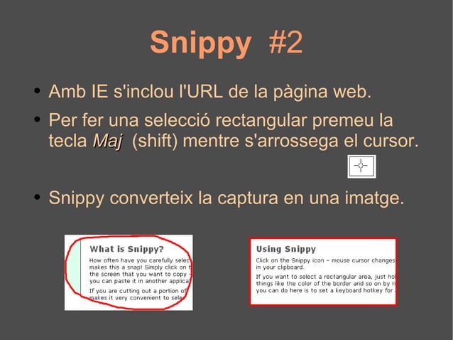 Tutorial Snippy | PPT