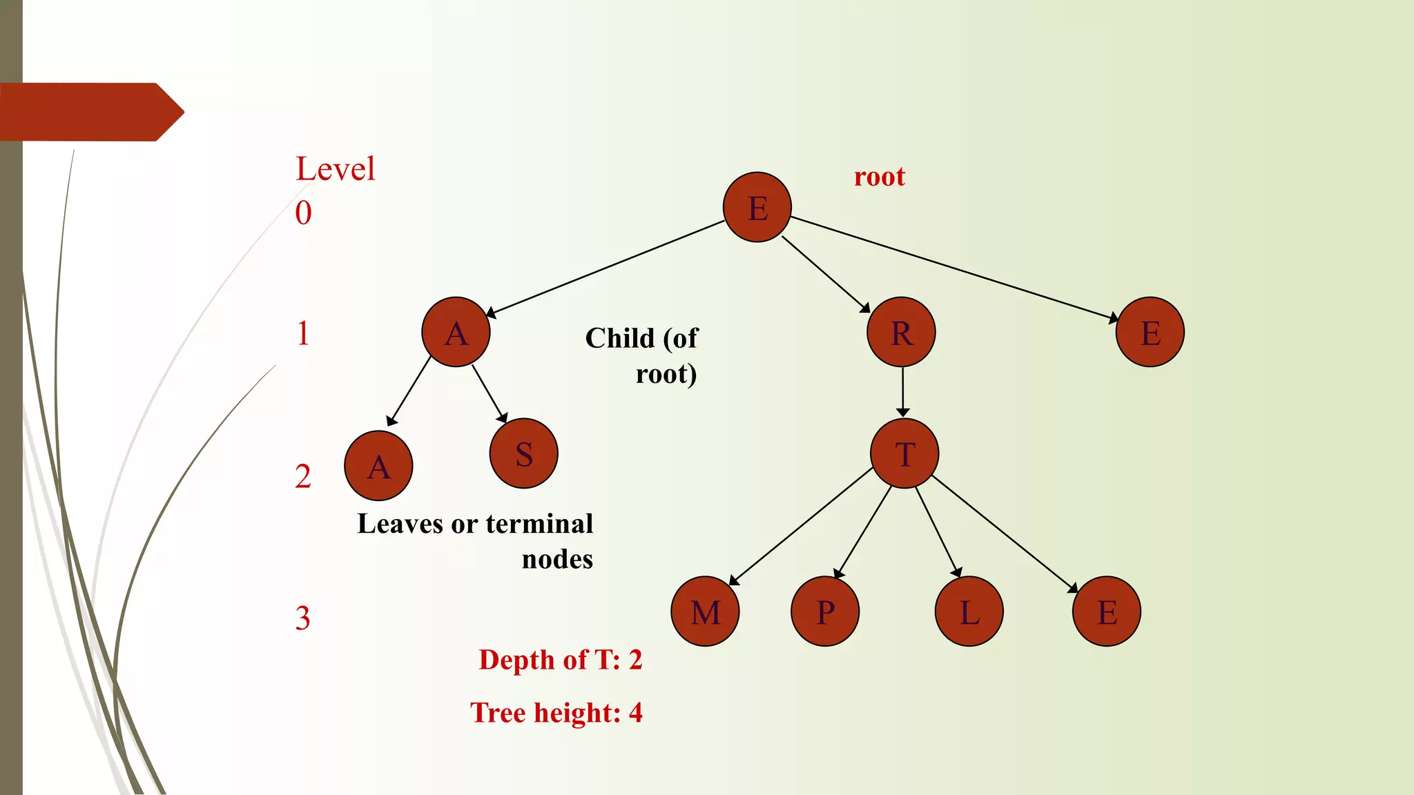 tutorial-tree (3).ppt