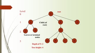 tutorial-tree (3).ppt