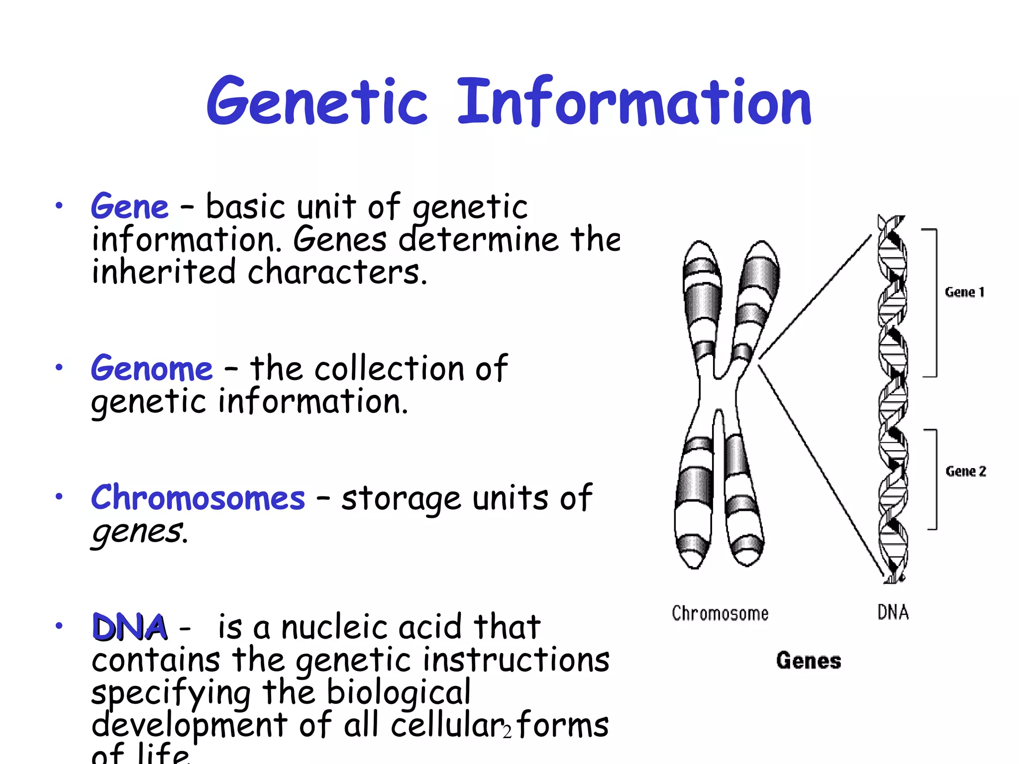 GENETICS | PPT