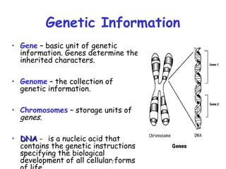 GENETICS | PPT