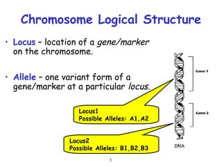 GENETICS | PPT