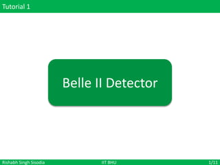 Belle II Detector | PPTX