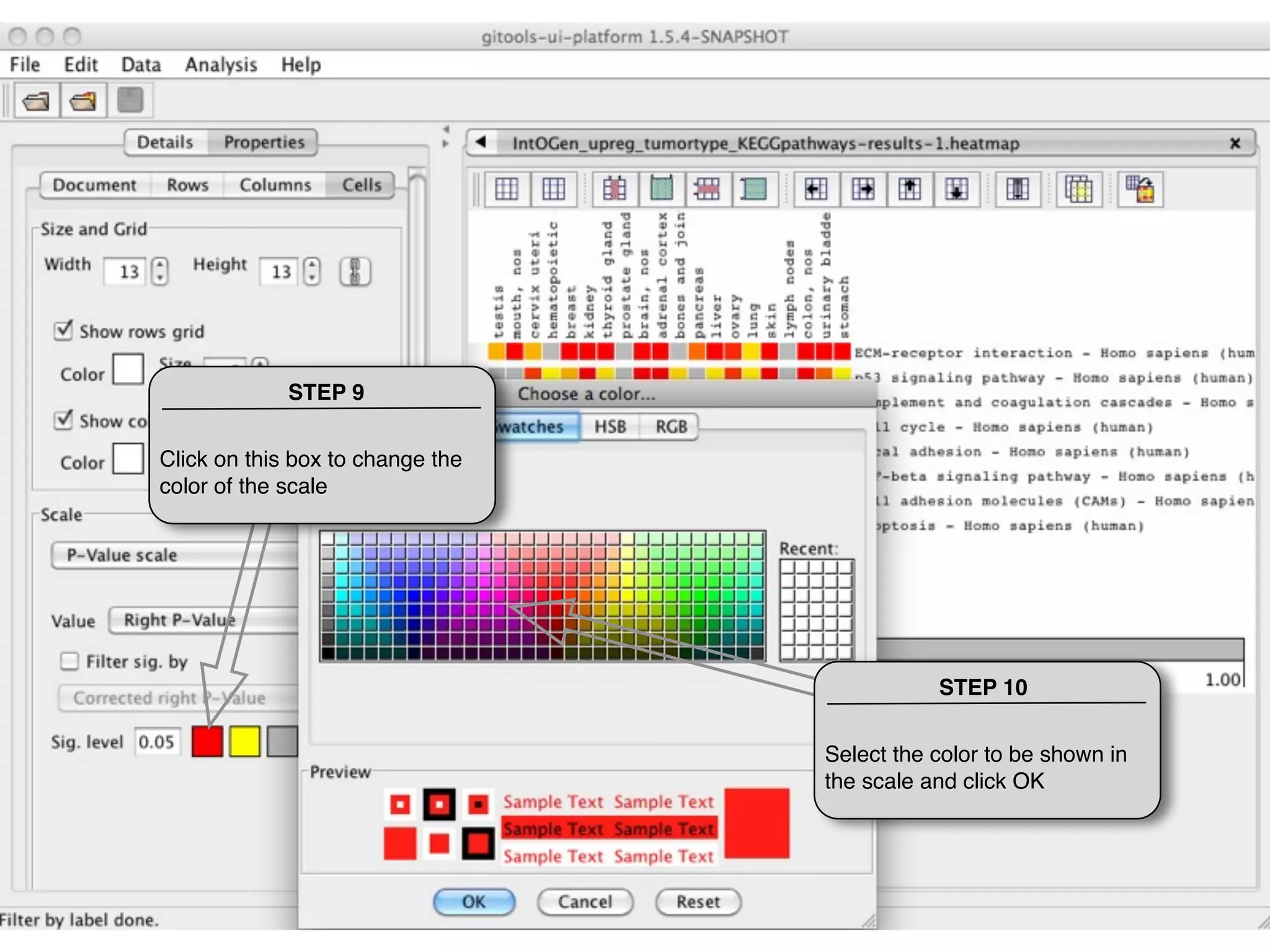 Tutorial 1 5 Edit Heatmaps Pdf