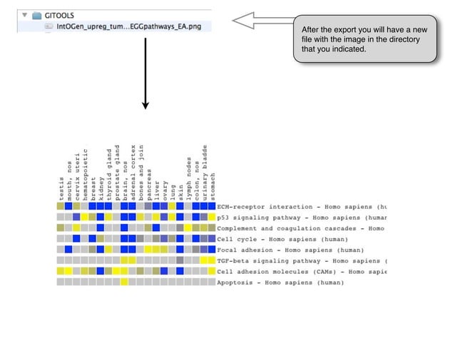 Tutorial 1.6 - Export heatmap image and table results | PDF | Science