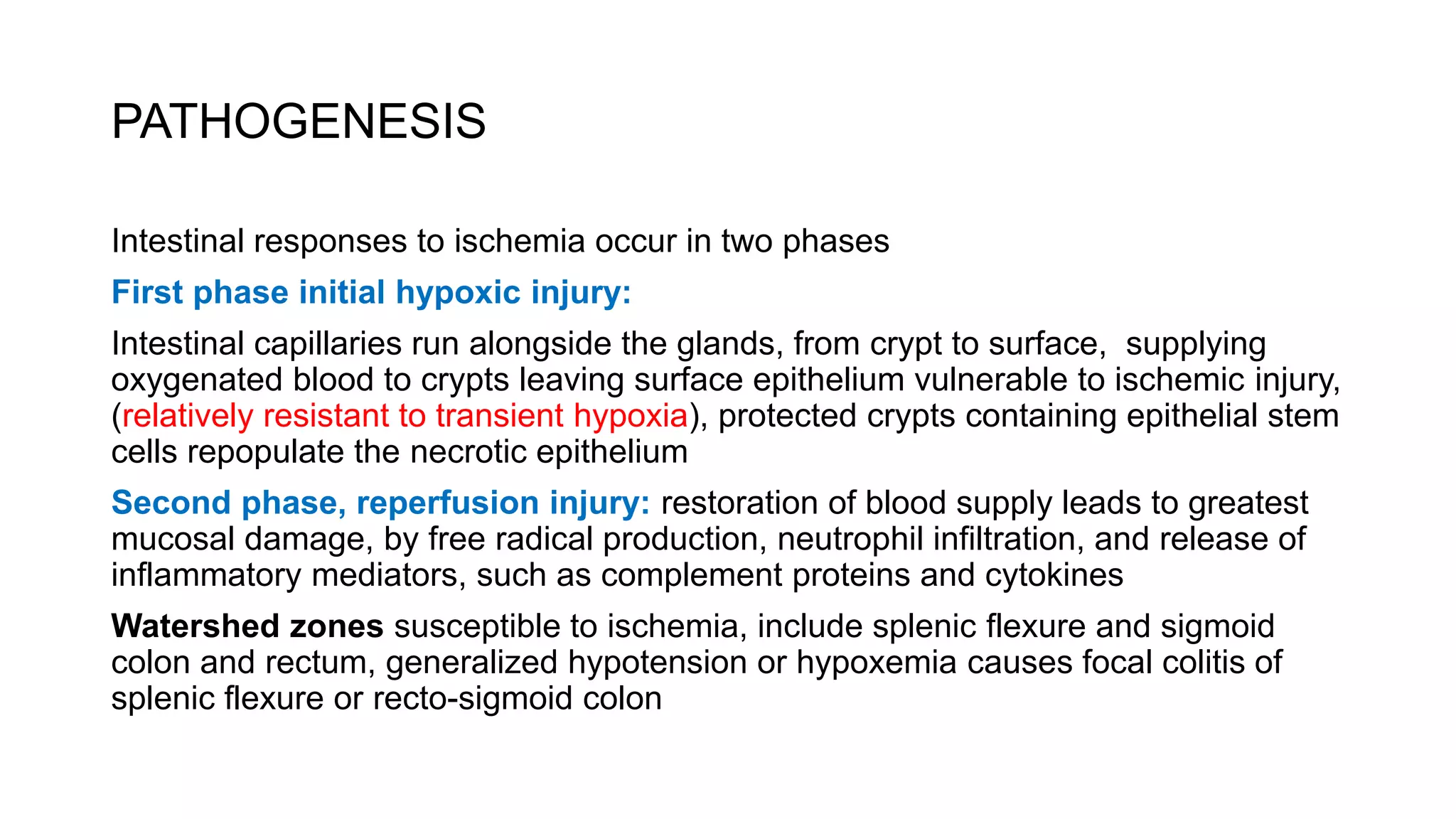 Ischemic bowel disease | PPTX
