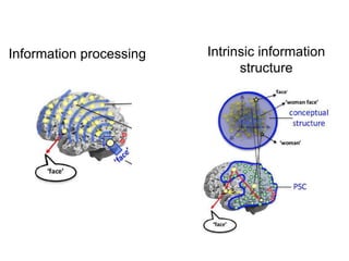 Tutorial 2 agi and consciousness - 3- IIT | PPTX