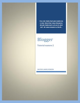Tutorial 2 como insertar imagen desde internet | PDF
