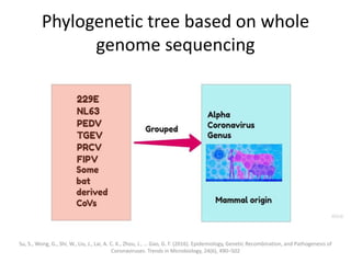 Epidemiology, Genetic Recombination, and Pathogenesis of Coronaviruses ...