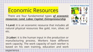 Tutorial 3.pptx, principles of economics | PPTX