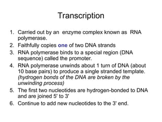 Tutorial 4 - Transcription and Translation.ppt