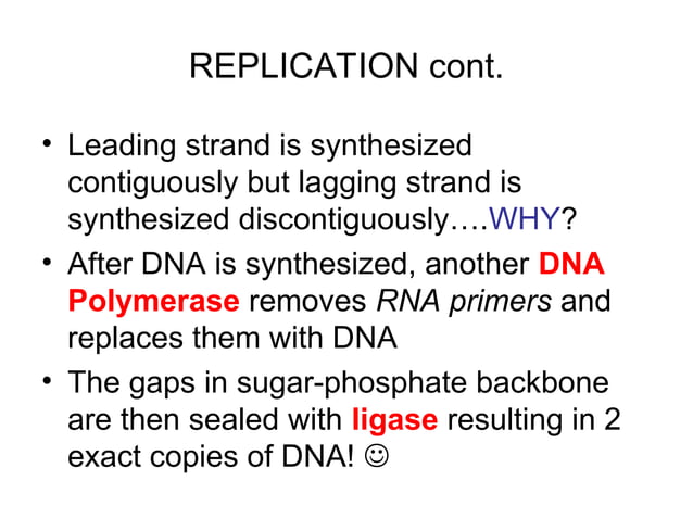 Tutorial 4 Transcription And Translationppt