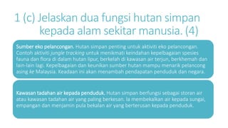 SEKTOR PERHUTANAN | PPTX